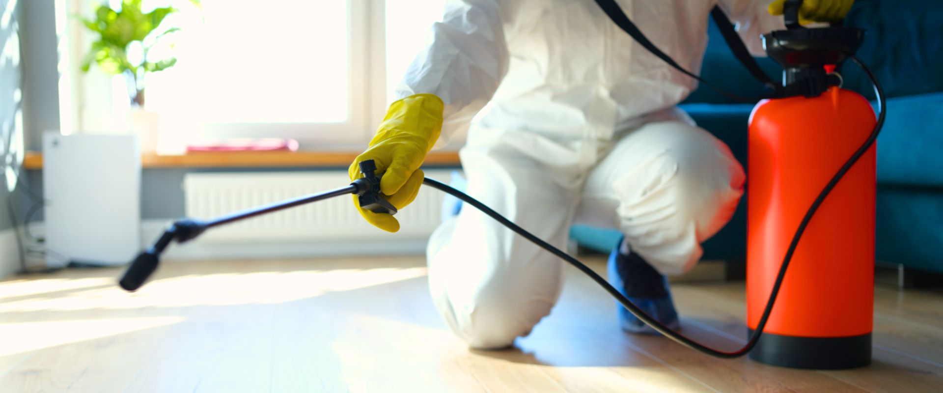 Pest Control Mauritius: Your Guide to a Pest-Free Home